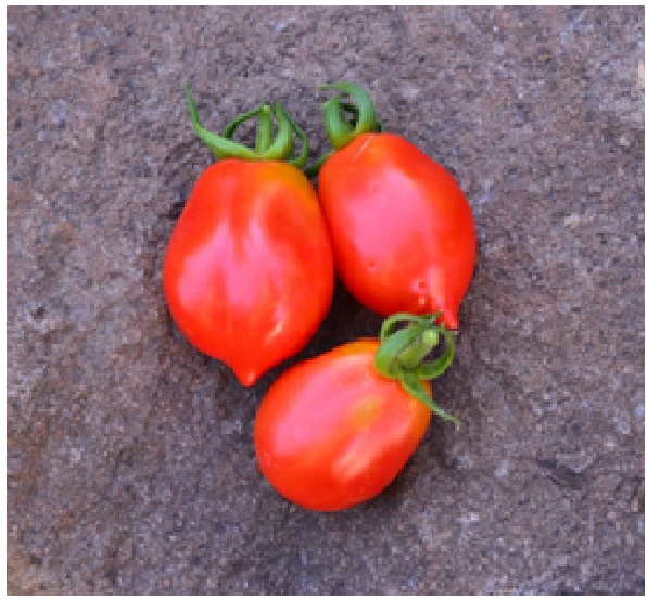 Mount Vesuvius Tomato